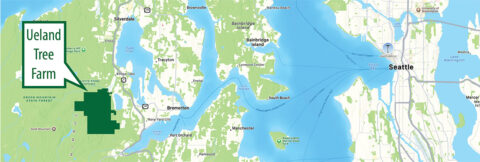 Ueland Tree Farm | Ueland Tree Farm